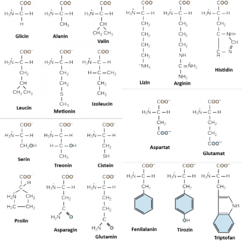 Uvod - Mrežni udžbenik iz genetike